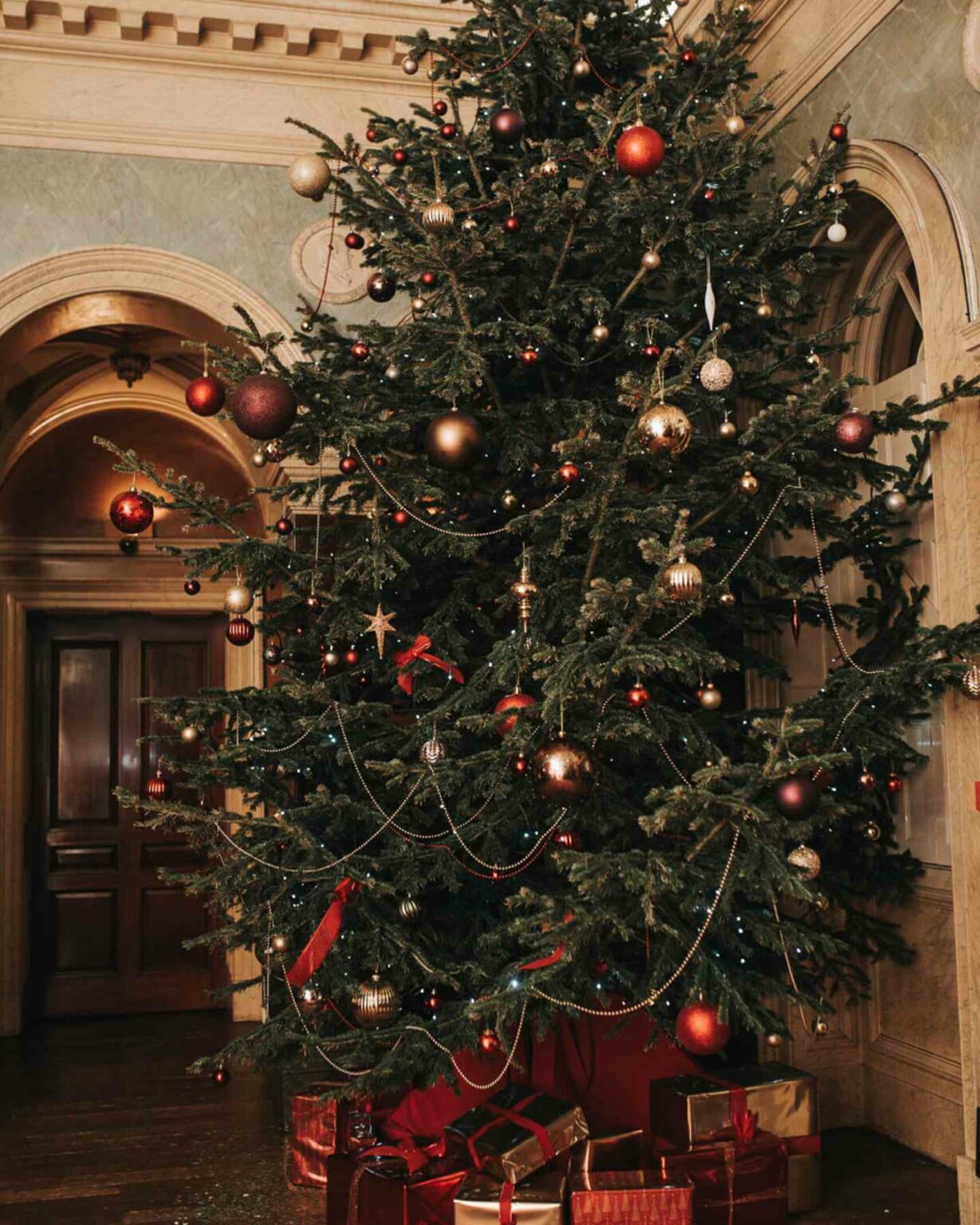 99+ Unique Christmas Themed Wedding Ideas For 2023 Festive