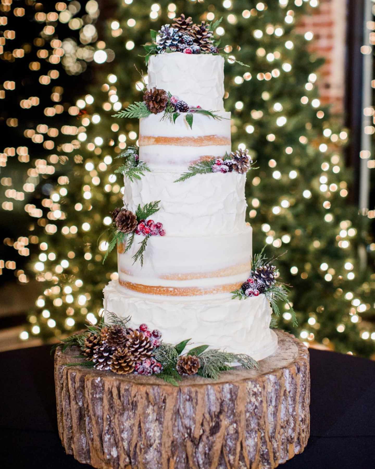 95+ Whimsical Winter Wedding Cakes to Love